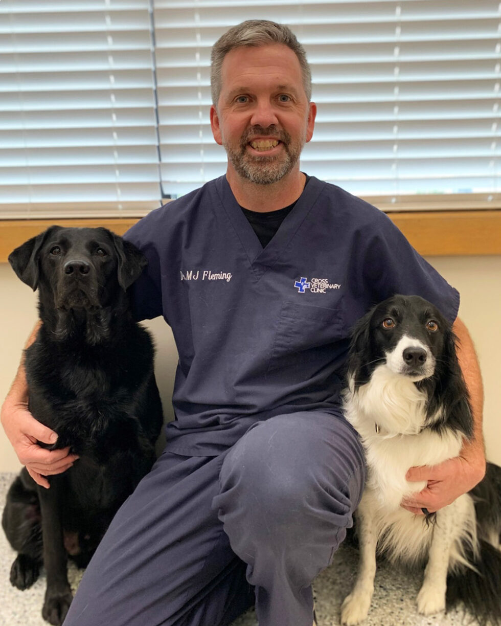 Cross Veterinary Clinic | Best Veterinary Clinic in Grand Blanc, MI