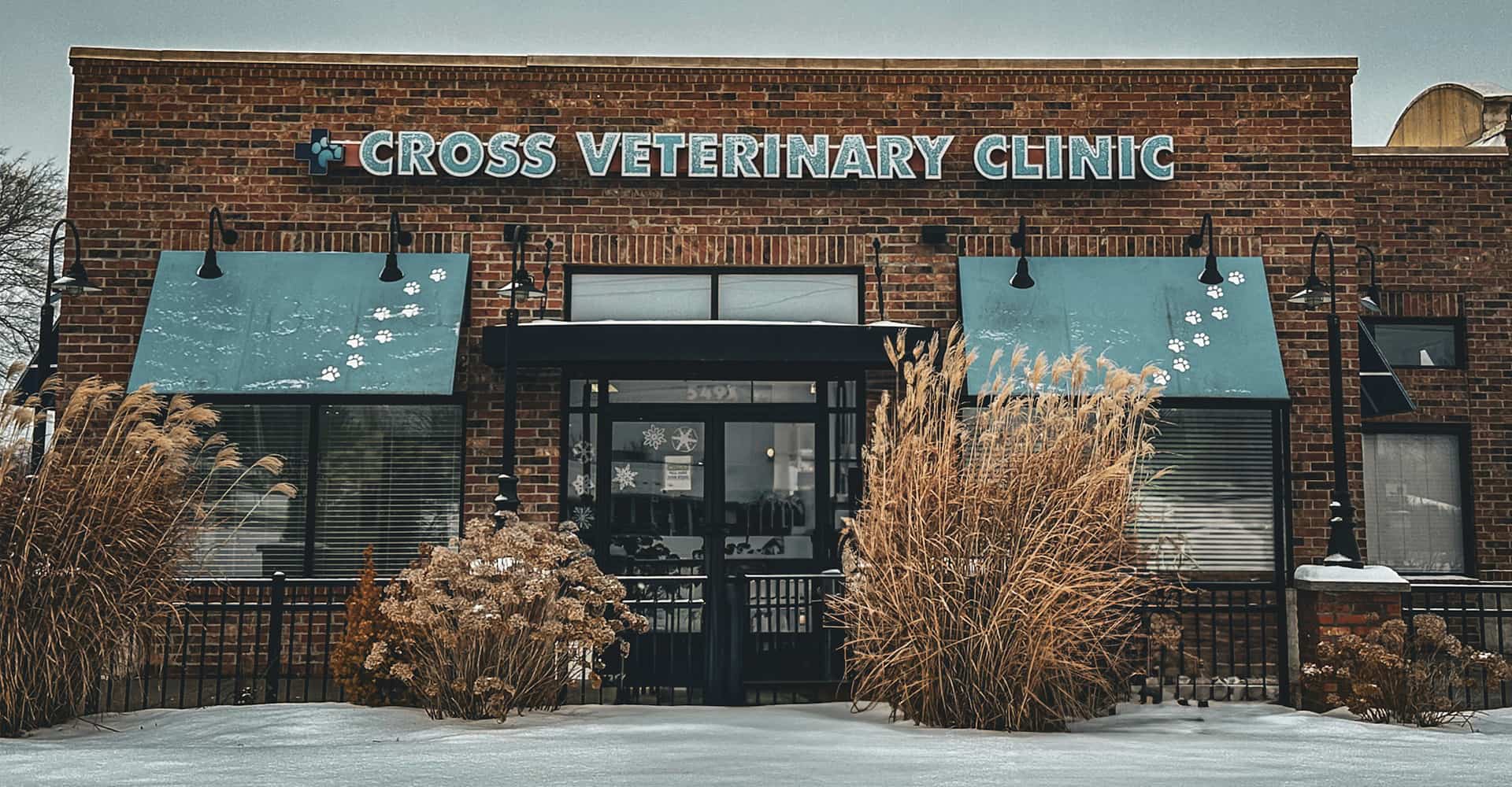 Patient Photo Gallery | Cross Veterinary Clinic